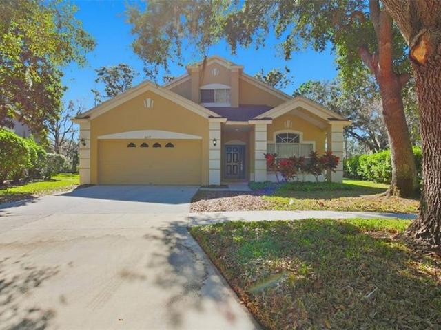 6219 Gannetdale Dr, Lithia, FL 33547