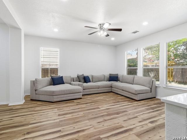 6219 Pecan Tree