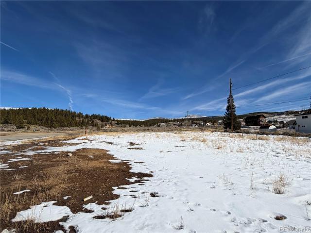 621 E 8th St, Leadville, CO 80461 | Compass