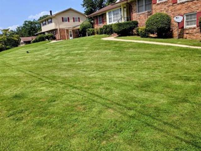 621 Shadywood Dr, Birmingham, AL 35206