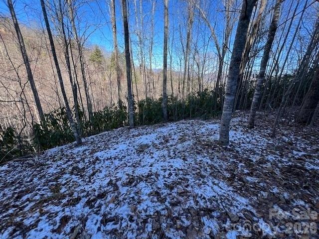 621 Round Top Rd, Almond, NC 28702