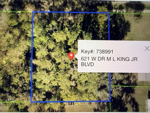 621 W Dr M L King Jr Blvd, Brooksville, FL 34601