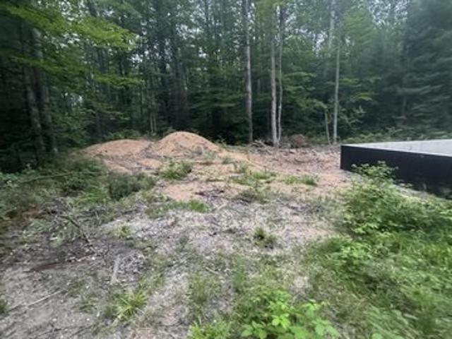 6225 N Verlinde Dr, Frederic, MI 49733