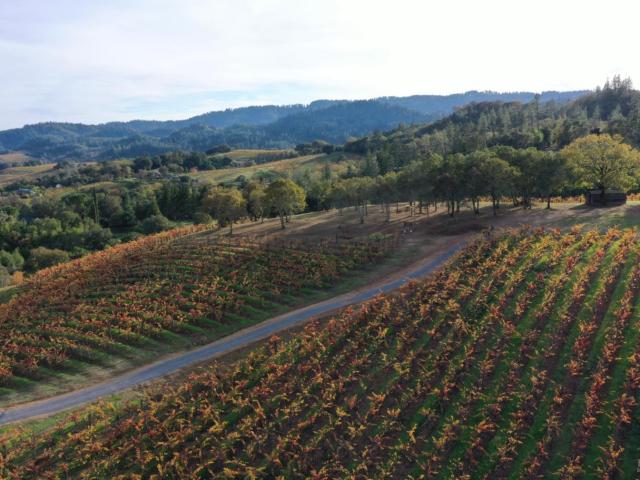 6225 W Dry Creek Rd, Healdsburg, CA 95448 | MLS #324059