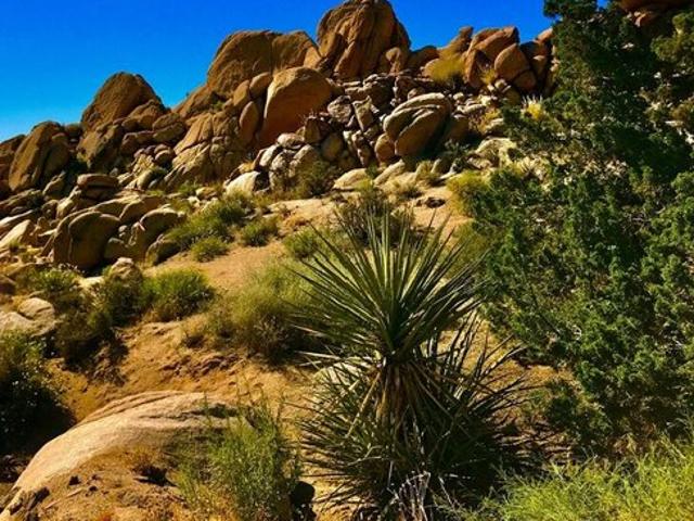 6220 Mirlo Ct, Yucca Valley, CA 92284