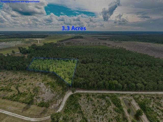 6222 Saints Delight Rd Lot 8A, Georgetown, SC 29440
