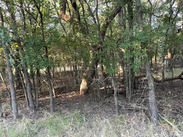 622 Cypress Dr, May, TX 76857 | MLS #21208