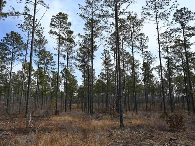 622 Pickett Thomas Rd, Camden, SC 29020