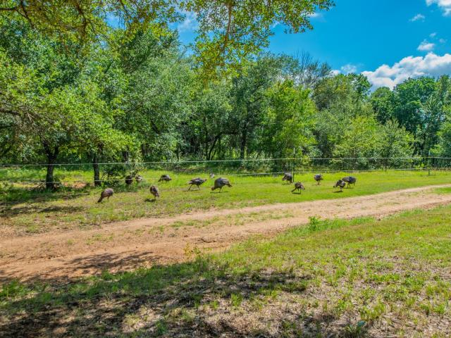 622 Private Road 4053