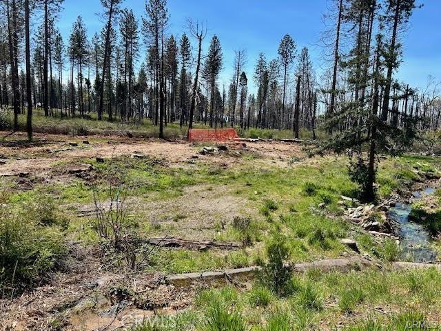 6230 Ponderosa