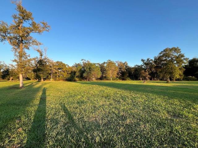 6233 County Road 3