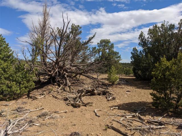 623 Cello Azui Dr, Walsenburg, CO 81089 | MLS #3058 | Compass