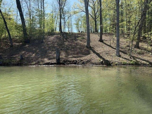 623 Davis Rd, Rogersville, AL 35652