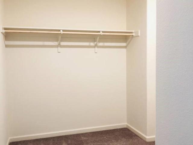 623 Phelps