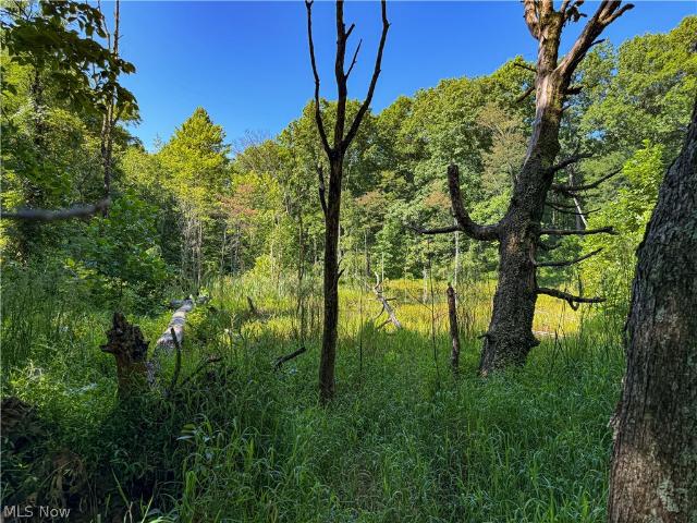 62459 Greenlawn Road
