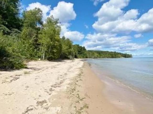6248 Lakeshore Dr, Palms, MI 48465