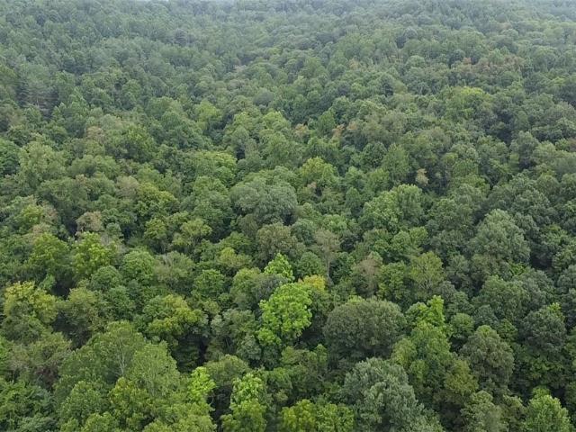 6248 Titko Ln Twp. Rd. 80