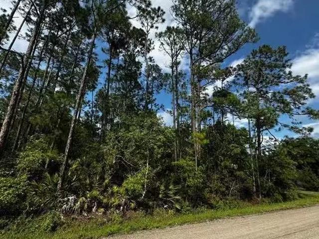 6248 Walnut Ave, Bunnell, FL 32110 MLS FC299191