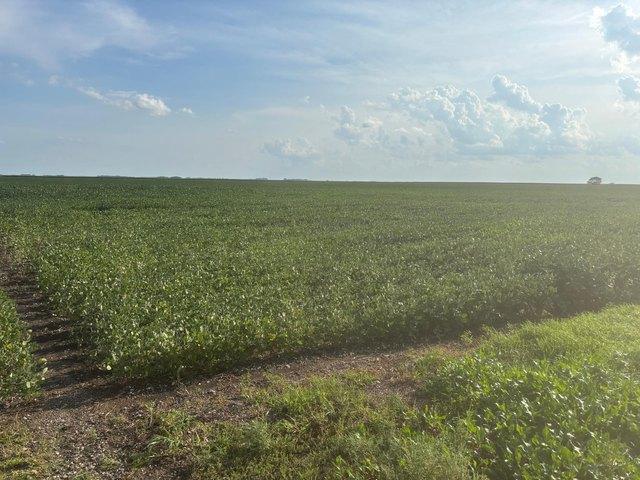 62495 th St, Chokio, MN 56221