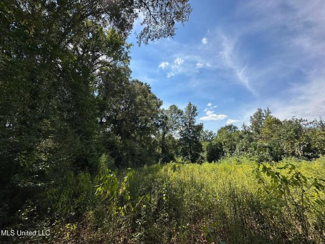 624 Caraway Road