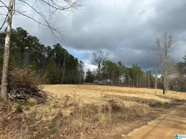 624 ROCKYVIEW RD # 1, WEST BLOCTON, AL 35184 Vacant Land For S.