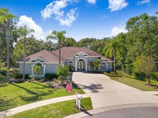 6256 Kingbird Manor Dr, Lithia, FL 33547