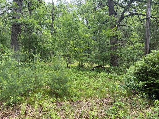 6250 Clover Rd, Twin Lake, MI 49457