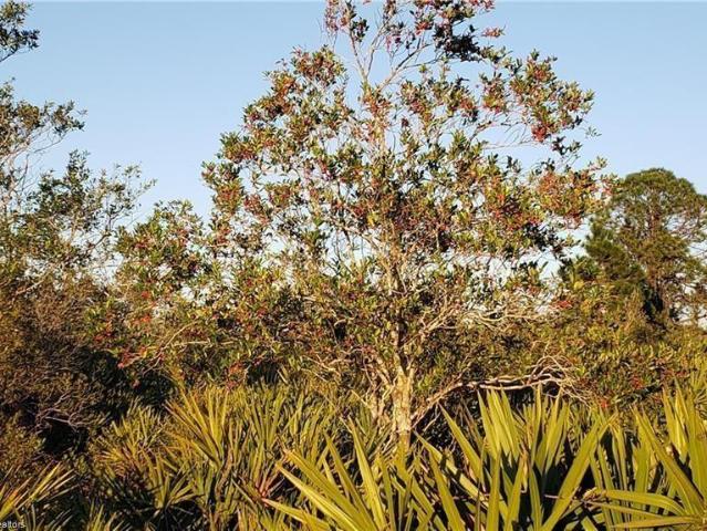 625 N Range Dr, Lorida, FL 33857 | MLS #L4950