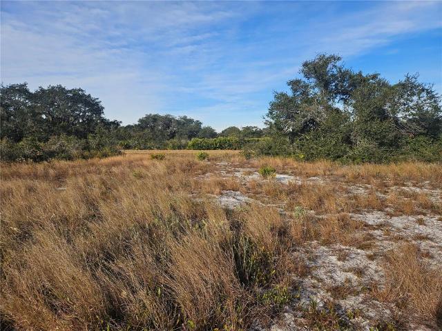 625 S Reed Rd, Avon Park, FL 33825 | MLS #TB8422