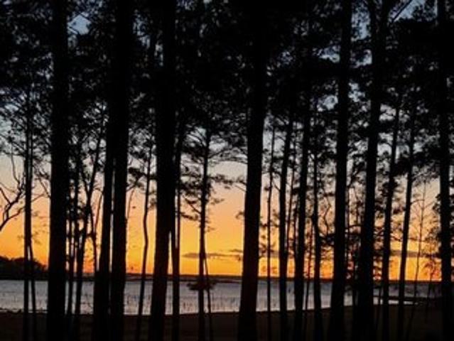 625 Pr # 8525, Broaddus, TX 75929