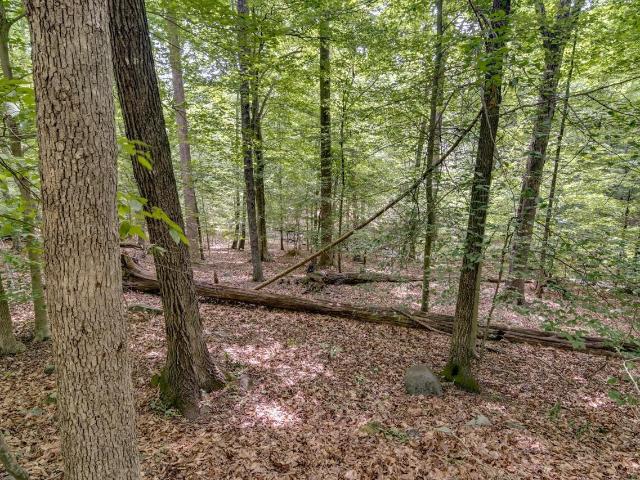 625 Totten Pl, Chapel Hill, NC 27514 | MLS #10114