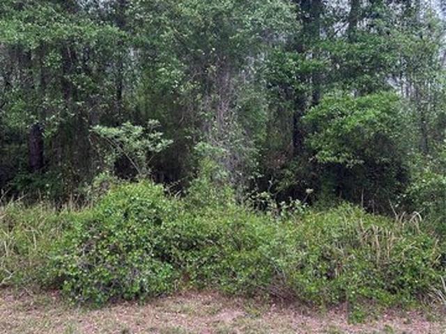 6265 N Allston Ter, Dunnellon, FL 34433