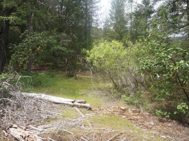 6269 Dutch Creek Rd