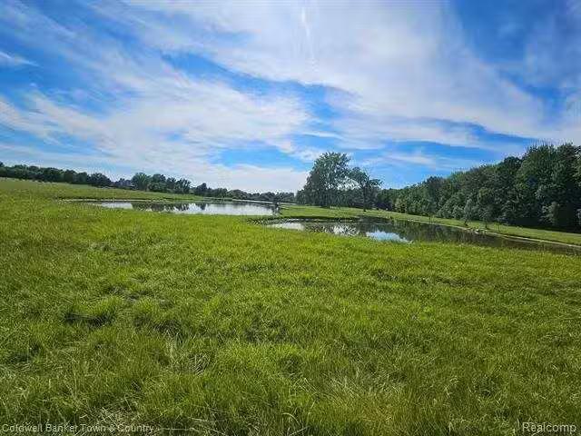 6260 HIDDEN FORREST Drive, Swartz Creek, MI 48473 648797762