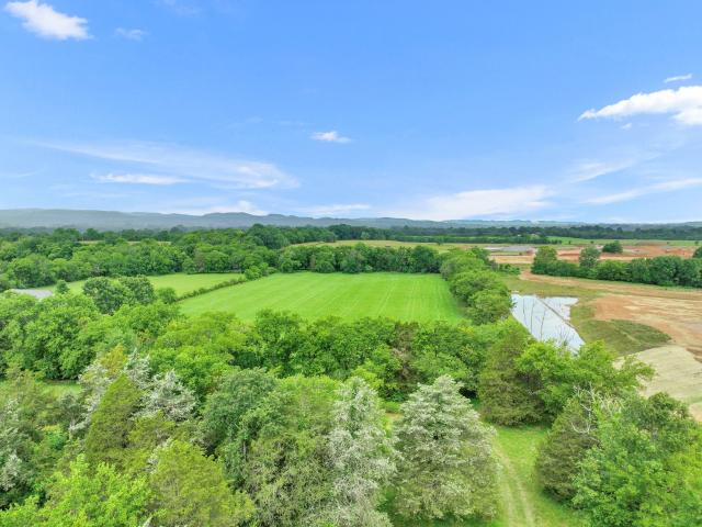 6261 Lampkins Bridge Rd, College Grove, TN 37046 | MLS #3115 | Compass