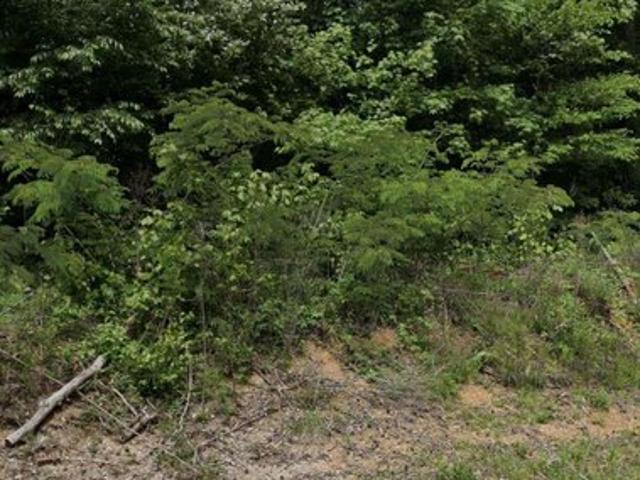 626 Birmingham Ave, Trussville, AL 35173