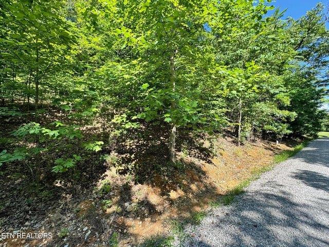 626 N Pointe Trl, Allons, TN 38541
