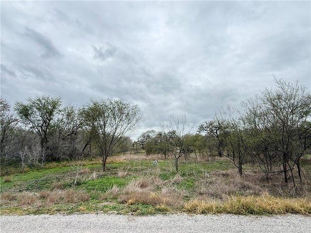 6275 N Sandy Hollow Rd Lot 8, Robstown, TX 78380