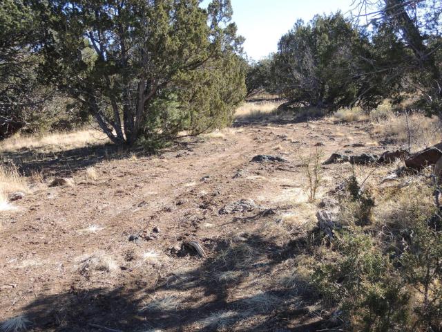627 E Hualpai Trail, Williams, AZ 86046 | MLS #199151