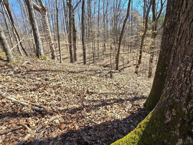 627 Stewart Hollow Rd, Lynchburg, TN 37352 | MLS #3148