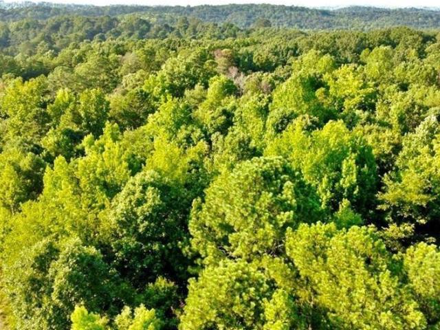 6280 Dawsonville Highway