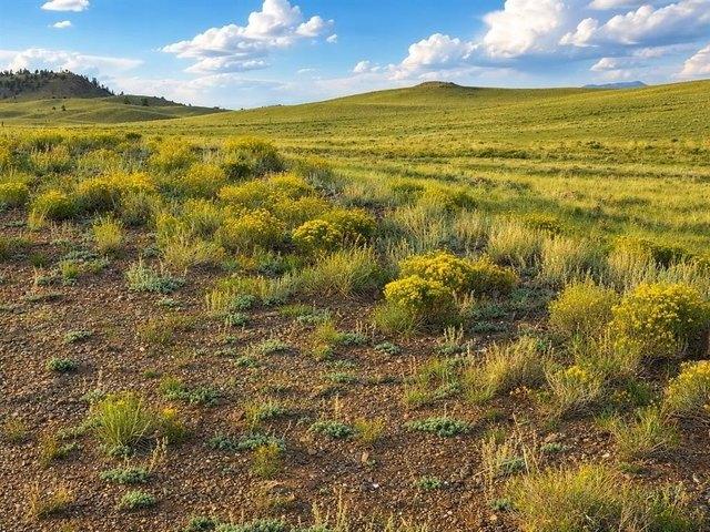 6298 Elkhorn Rd Lot 39, Hartsel, CO 80449