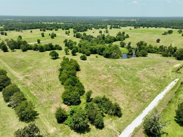 6293 County Road 216, Richards, TX 77873