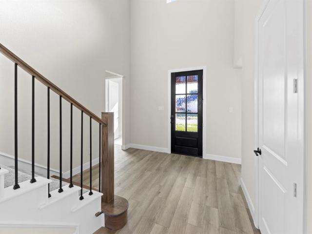 629 Bunchberry Street