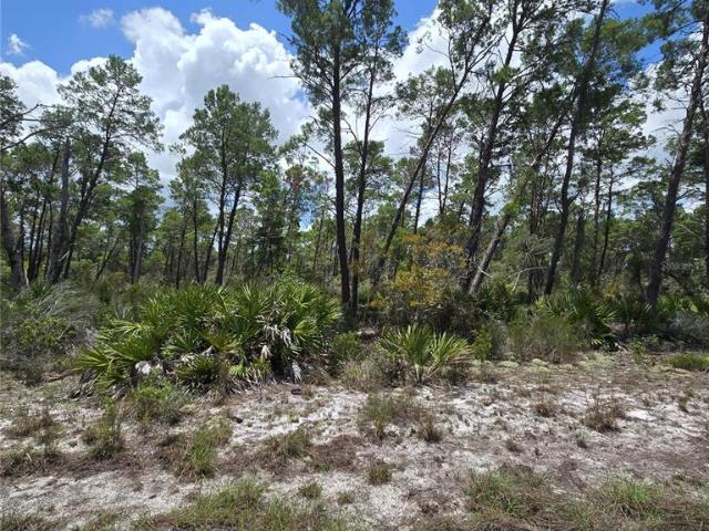 629 Parakeet Ave, Sebring, FL 33872 | MLS #O6343