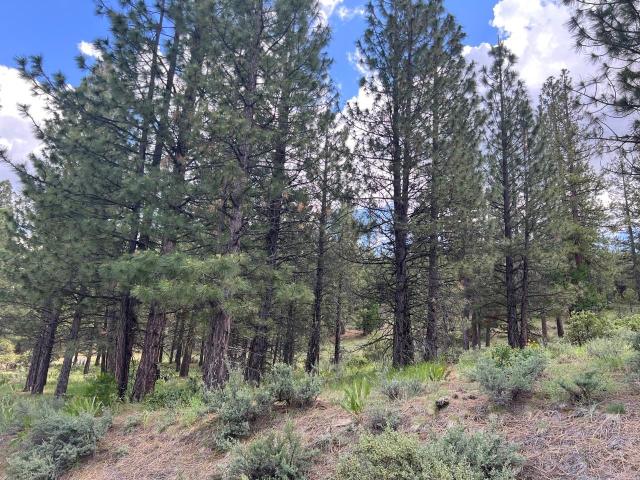 629 Red Sky, Clio, CA 96106 | MLS #20230