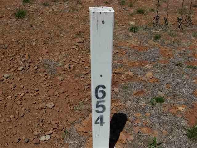 62 Terranova Dr Lot 654, Lake Almanor, CA 96137