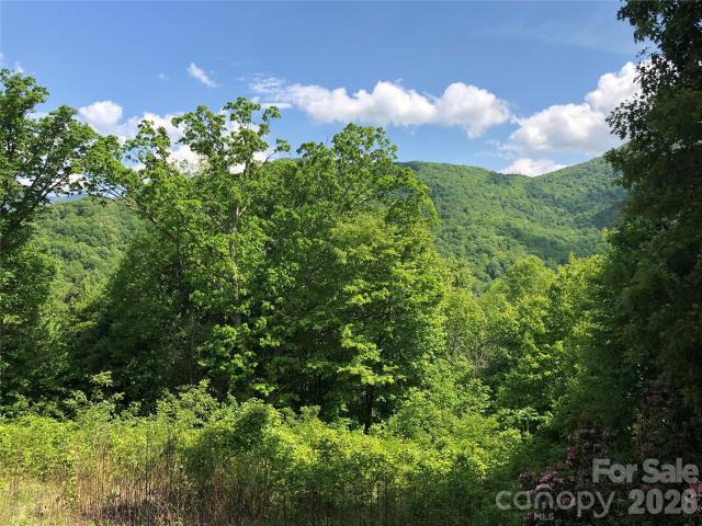 62 Wildwood Dr, Burnsville, NC 28714 | MLS #4315