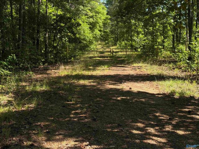62+/ Acres County Road 628