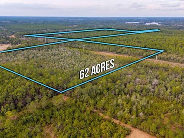 62 Acres Maes Ln, Defuniak Springs, FL 32433